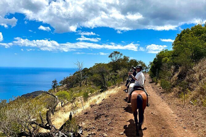 Sunshine Mountain Vista Horseback Trail Ride on Oahu - Value for Money and Overall Experience