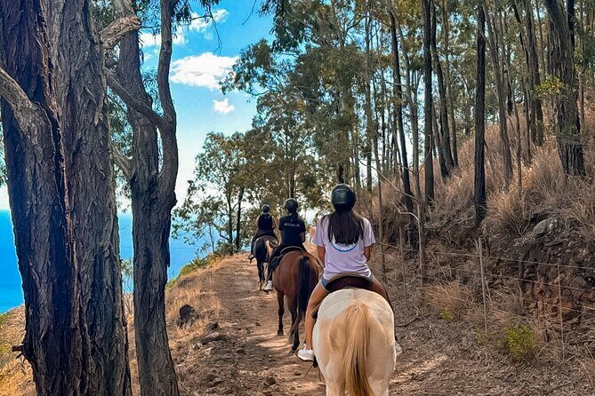 Sunshine Mountain Vista Horseback Trail Ride on Oahu - Who Should Consider This Tour?