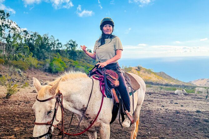 Sunshine Mountain Vista Horseback Trail Ride on Oahu - FAQ