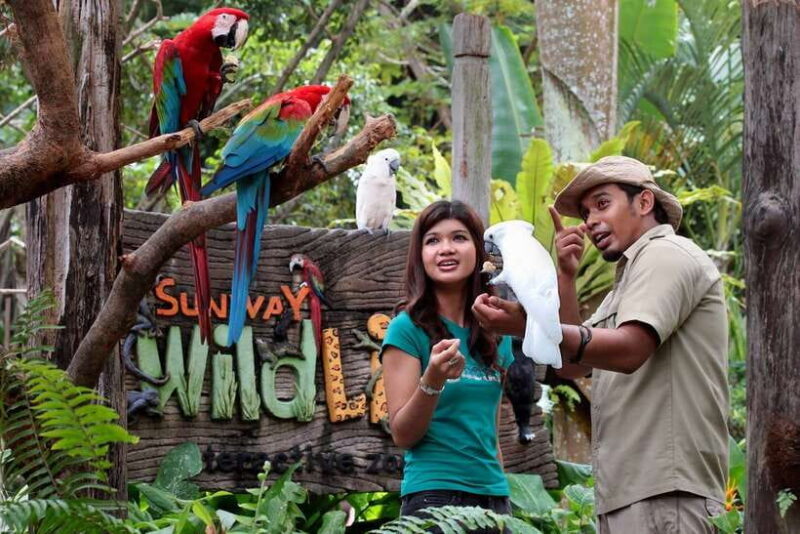 Sunway Lagoon: Ticket with Transfer from Kuala Lumpur - Practical Tips for Visiting
