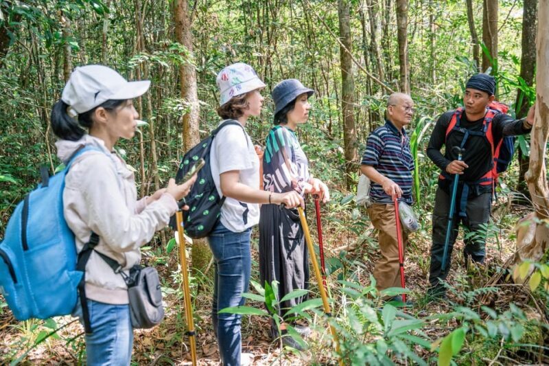 Suoi Tien 1-Day Trekking: Phu Quoc Excursion - Practical Details and What to Know