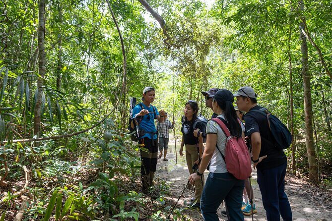 Suoi Tien 4-Hour Jungle Easy Trek and Spring Bath - An inviting introduction to the tour