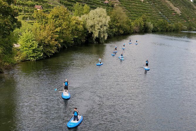 SUP BASIC COURSE Stuttgart Neckar Stand Up Paddling / Paddling Adventure Jones Tours - The Sum Up