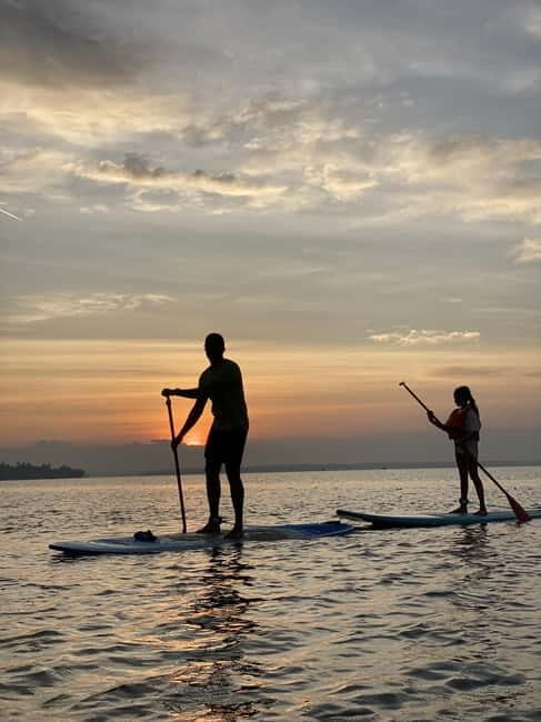 SUP in Kochi: Sunrise Stand-Up Paddleboarding Tour - A Calm Start to Your Day in Kochi