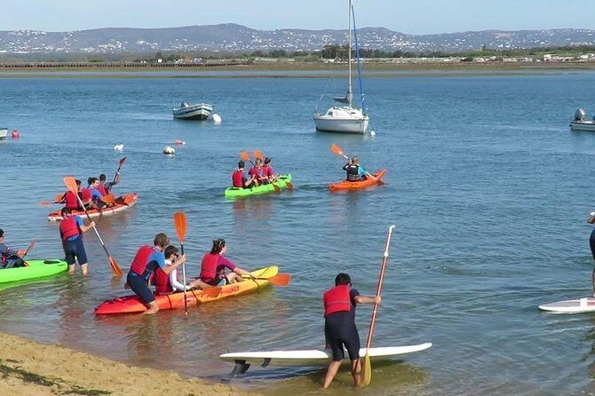 SUP or Kayak Tour - Setting the Scene: What to Expect from the Tour