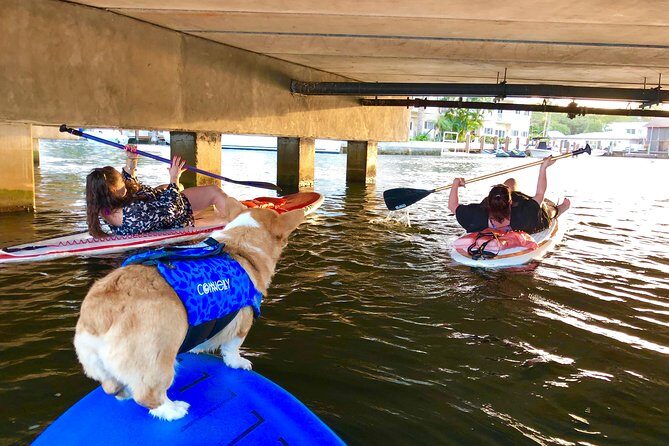 SUP PUP Paddleboard Tour - Authenticty and Atmosphere