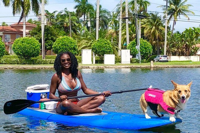 SUP PUP Paddleboard Tour - Summary and Who Will Love It