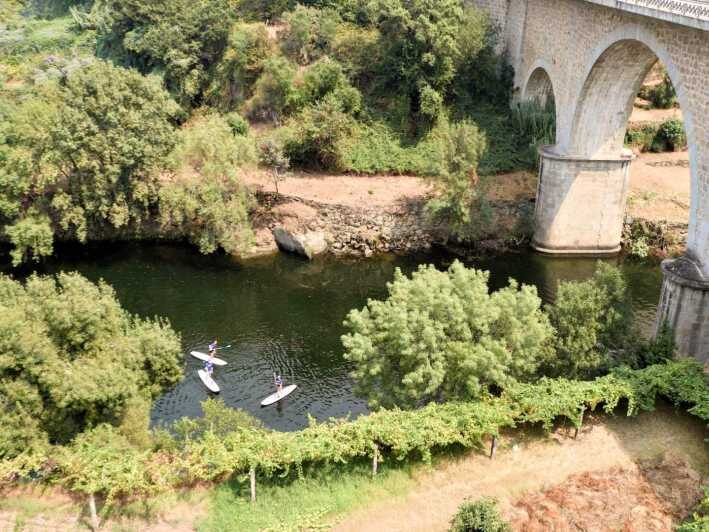 SUP TOUR - Explore Porto´s surroundings on a SUP Board - What Travelers Say: Authentic Feedback and Highlights