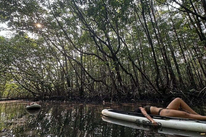 SUP Tour in Mangrove Forest of Koh Rong Sanloem - An In-Depth Look at the SUP Tour Experience