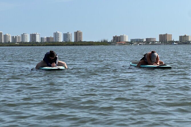 SUP Yoga: Paddleboard Yoga Experience in Nature - Who Will Love This?