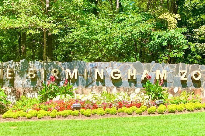 Super City Birmingham Hop On Hop Off Driving App Tour - User Experience and Reviews