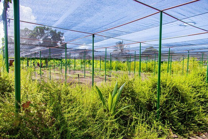 Super Combo Full Day Tour - The Sum Up