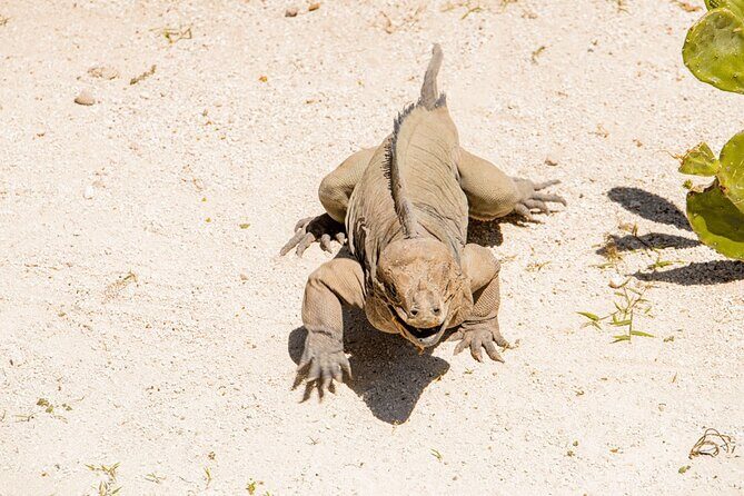 Super Combo Full Day Tour - FAQs