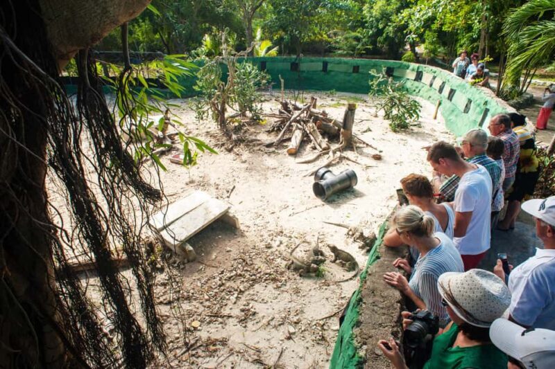 Super Combo Full Day Tour - Final Words