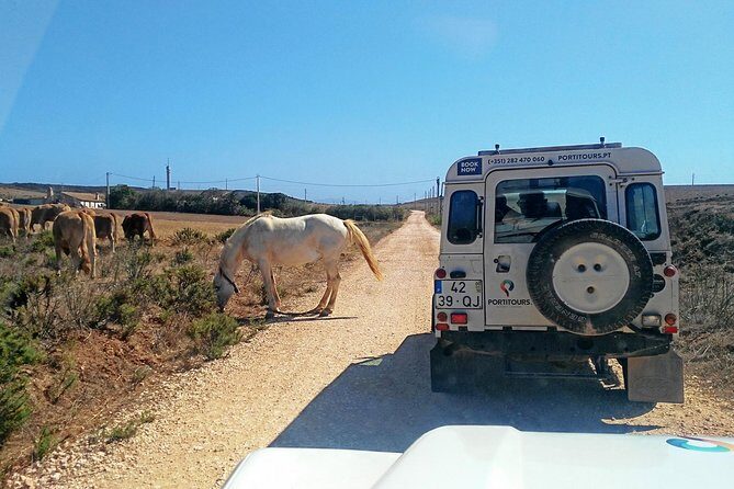 Super Day- Jeep Tour + Arade River Cruise - A Practical Review of the Super Day - Jeep Tour + Arade River Cruise