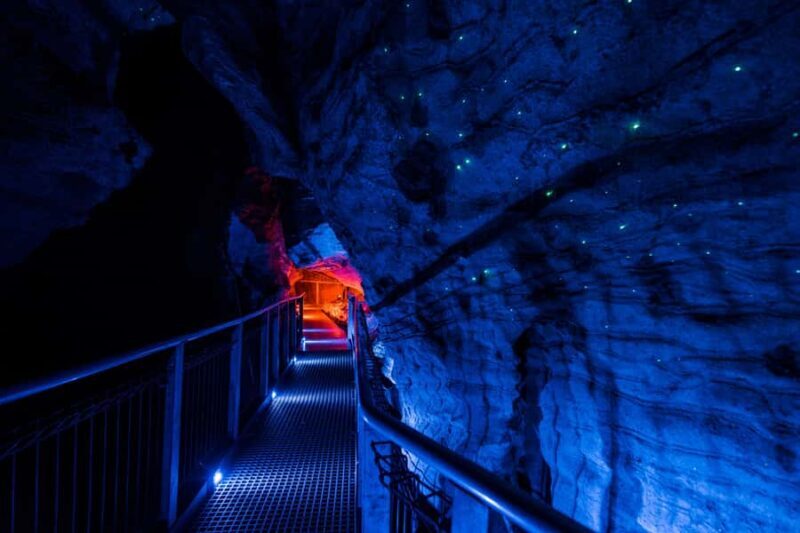 SUPER DEAL: Ruakuri Caves, Te Puia Rotorua & Blue Springs - Key Points