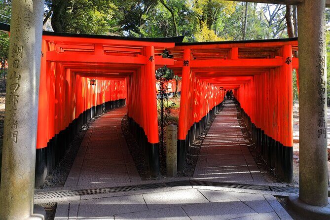 Super Express Nara & Kyoto Private 1-Day Tour from Tokyo - Deep Dive into the Details: Why This Tour Works