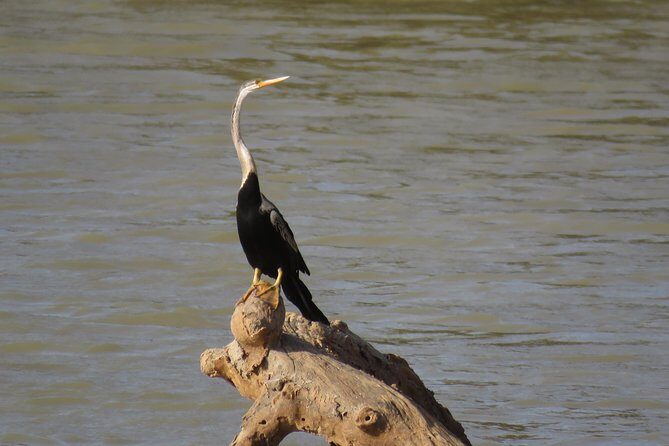 Super Luxury Jeep Safari at Yala National Park - Final Thoughts