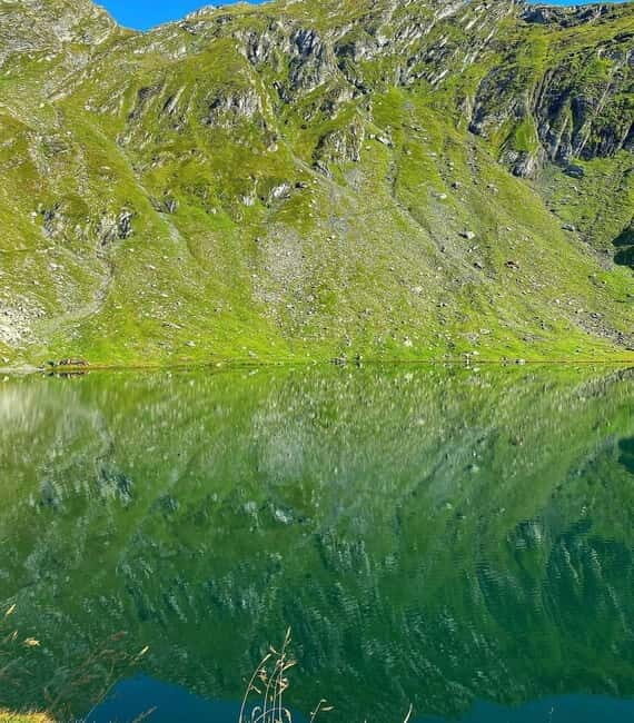 SUPER TOUR: Top Gear Road with Wild Bears Sightseeing - The Experience: What Travelers Are Saying