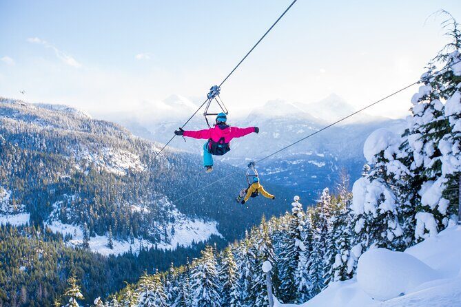 Superfly Ziplines on Cougar Mountain - includes 4 ziplines! - Key Points