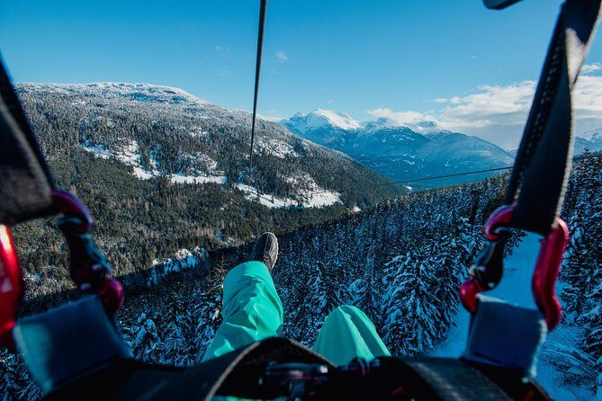 Superfly Ziplines on Cougar Mountain - includes 4 ziplines! - The Reviews Speak for Themselves