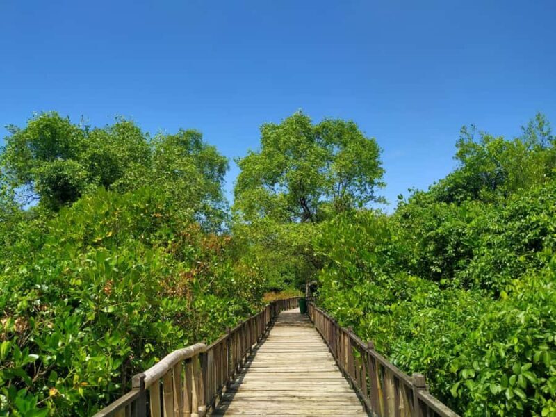 Surabaya: 1-Day City Tour - Tunjungan Street: A Living History