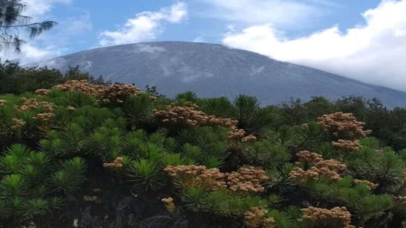 Surabaya/Malang: 3-Day Mount Semeru Trekking Adventure - Final Thoughts: Is This Trek for You?