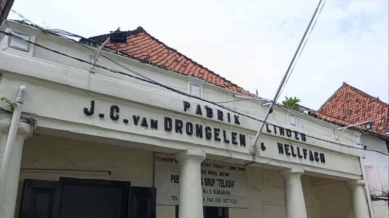 Surabaya: Old Town Walking Tour - Who Will Love This Tour?