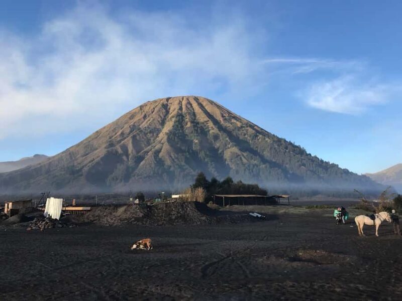 Surabaya or Malang: 2D1N Private Mount Bromo Trekking Tour - What to Expect from the Experience
