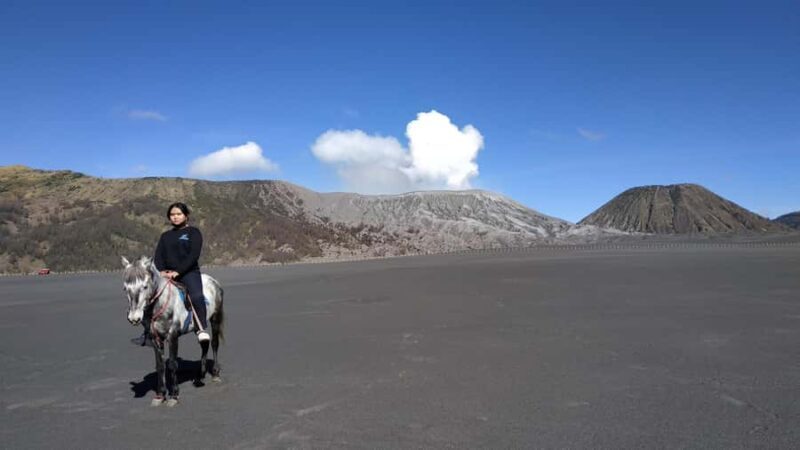 Surabaya or Malang: 2D1N Private Mount Bromo Trekking Tour - The Value of the Experience