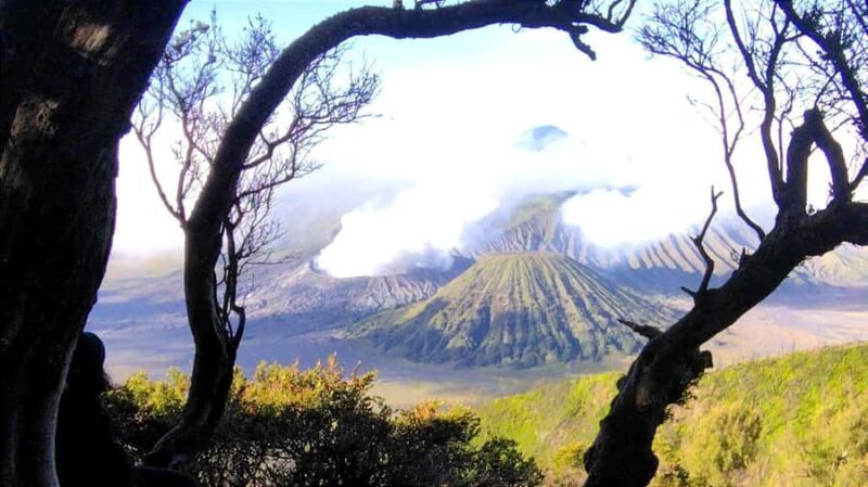 Surabaya or Malang : Bromo, Tumpaksewu waterfall in 2 days - An In-Depth Look at the 2-Day East Java Adventure