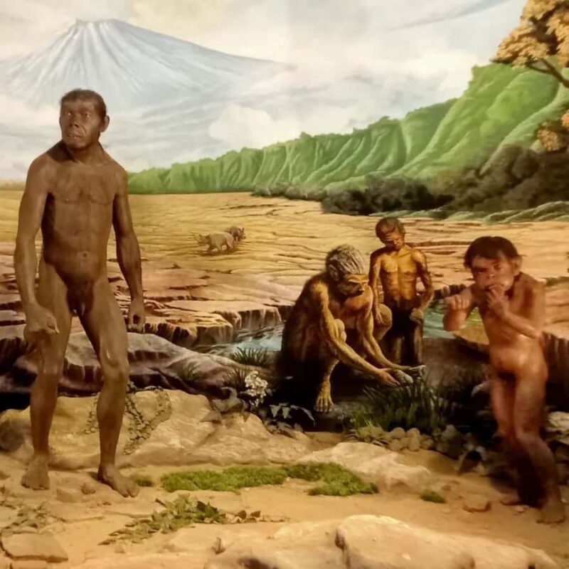 Surakarta : Full-Day Highlights Tour  All Inclusive - Frequently Asked Questions