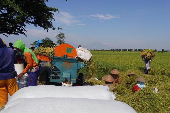 Surakarta Village cycling tour - What You Can Expect from the Itinerary