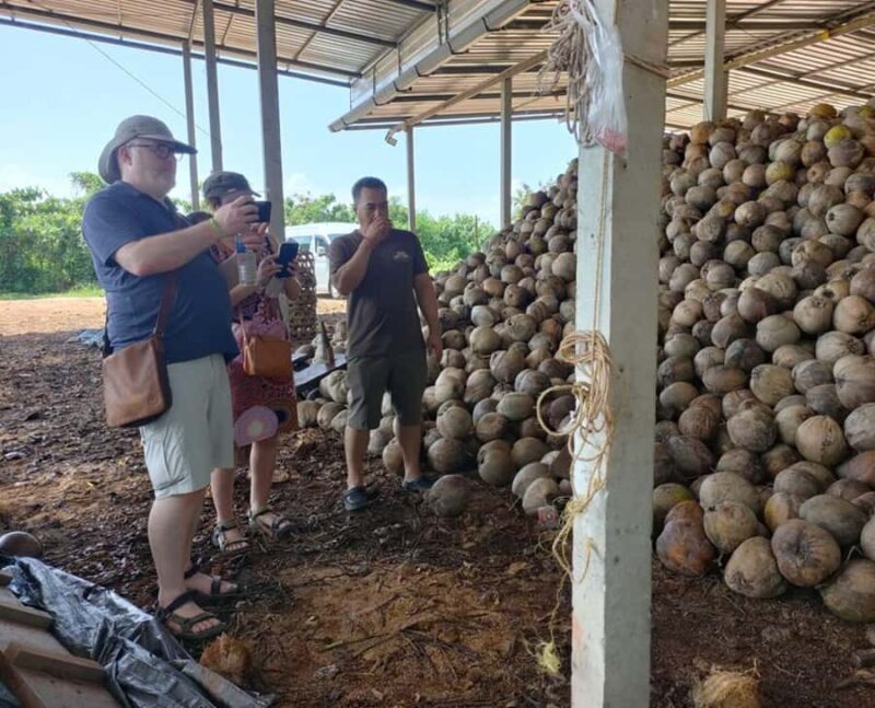 Surat Thani: Coastal Village Life Tour w/ Mangrove & Cooking - Why You Should Consider This Tour