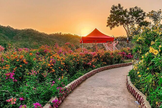 Surat to Statue of Unity: A Day of Marvels and Legacy - FAQ