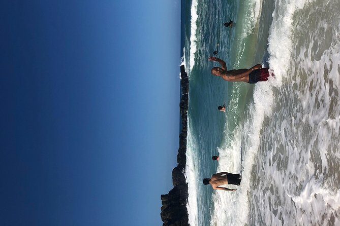 Surf and SeaTurtles Oahu Tour - The Sum Up