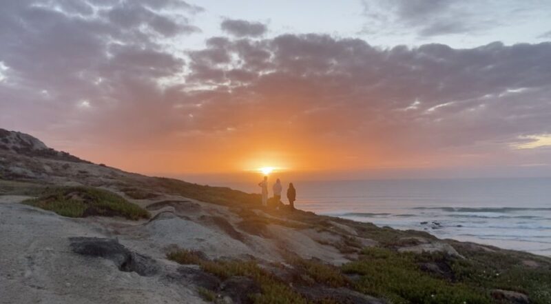 Surf Guiding in Portugal - Transportation: Comfort and Convenience in One Package