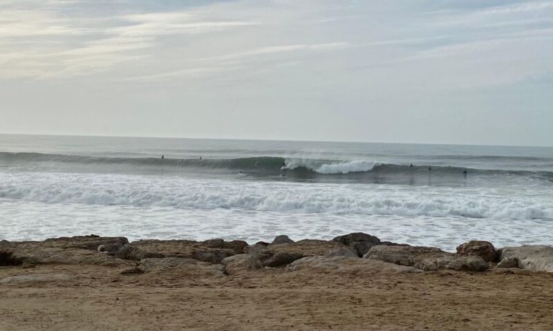 Surf Guiding in Portugal - Skill Level and Expectations