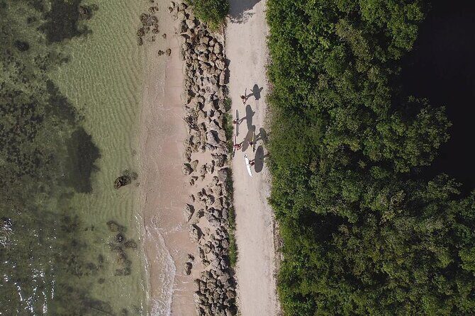 Surf lessons Guadeloupe beginners intermediate confirmed - The Sum Up: Who Will Love This Experience?