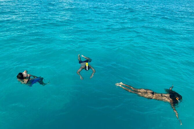 Surf Lessons & Snorkeling Crystal Blue Water #1 Experience 8hr - Review Highlights from Participants