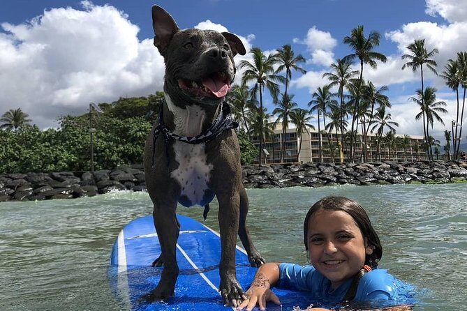 Surf with a Service Animal - An In-Depth Look at the Maui Surfing with a Service Animal Experience