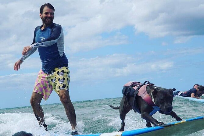 Surf with a Service Animal - FAQ