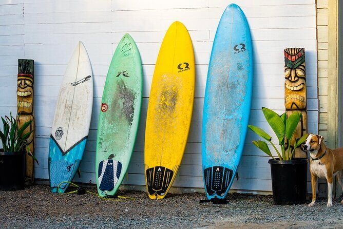 Surfboard Rental All Day Solana Beach Fletchers Cove - The Booking and Meeting Process
