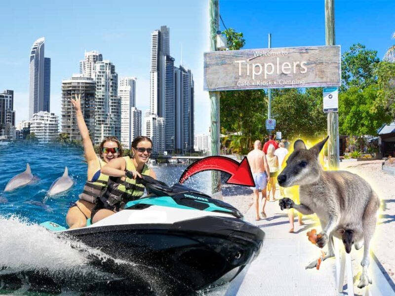Surfers Paradise: 2 Hour Tropical Island Jet Ski Tour - An In-Depth Look at the Tour