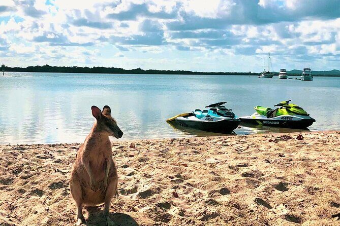 Surfers Paradise 30 Minute Jet Ski Tour - Meeting Points and Practicalities