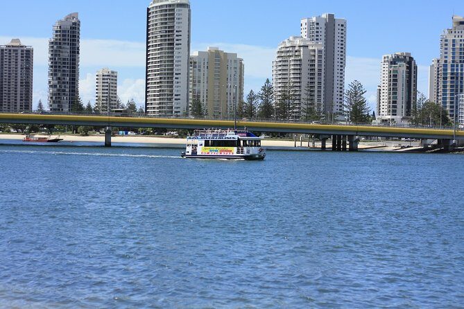 Surfers Paradise Sightseeing River Cruises - What to Expect from This Cruise: An In-Depth Look
