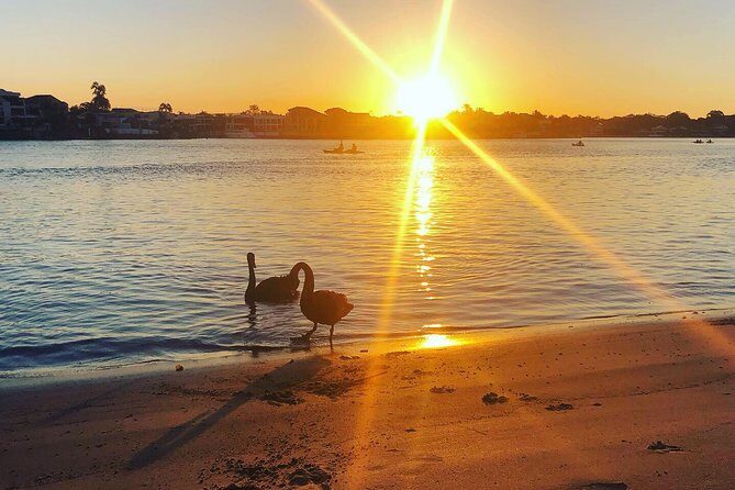 Surfers Paradise Sunset Kayak Tour - Final Thoughts