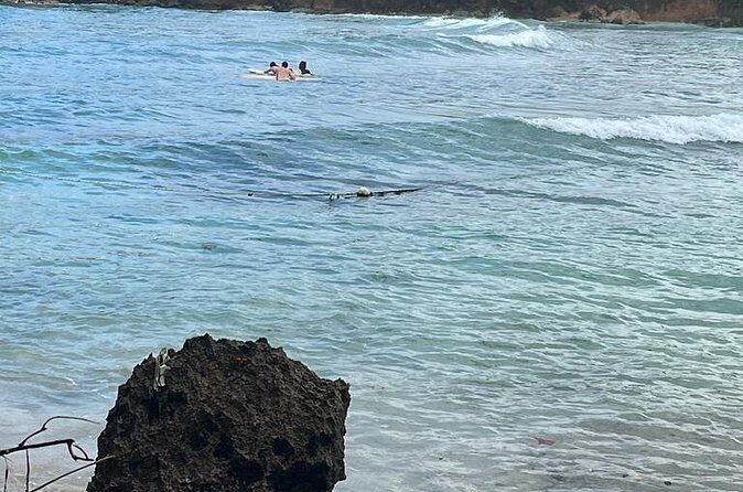 Surfing and Motorized Canoeing Private Tour in Jamaica - Transportation and Group Size