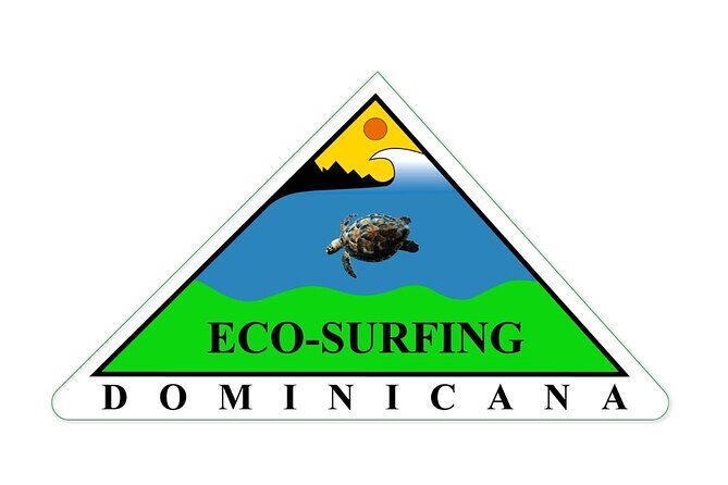 Surfing Experience in Cabarete Dominican Republic - Introduction: What to Expect from a Surfing Session in Cabarete