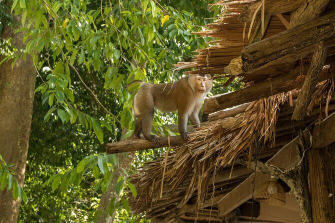 Surin Island by Sawanu Speed Catamaran - Authentic Experiences and Feedback from Travelers